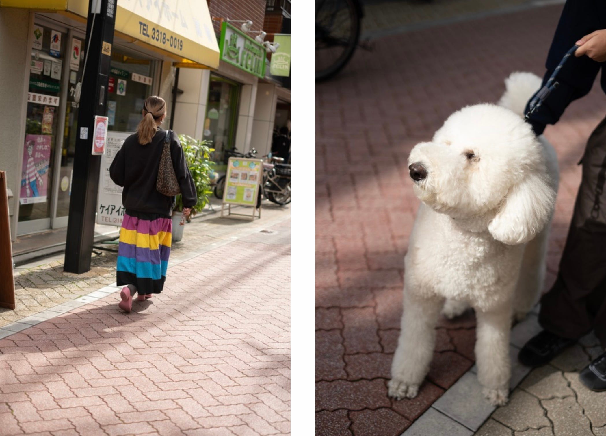 Japan 2025, Week 1 - by Madeline Deneys
