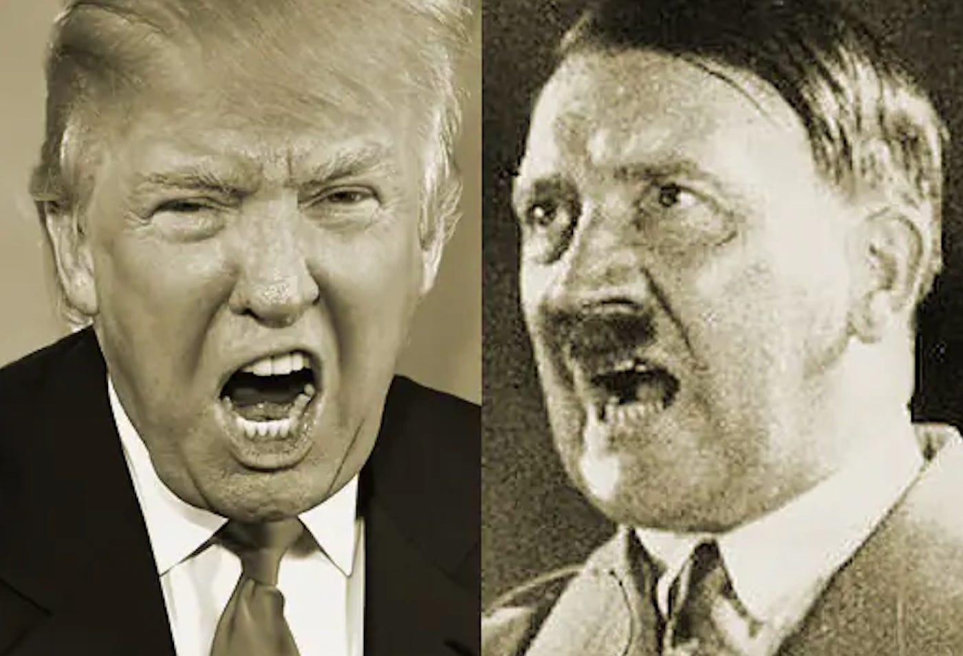 When tariffs blew up the economy, the Reich looked north for minerals ...