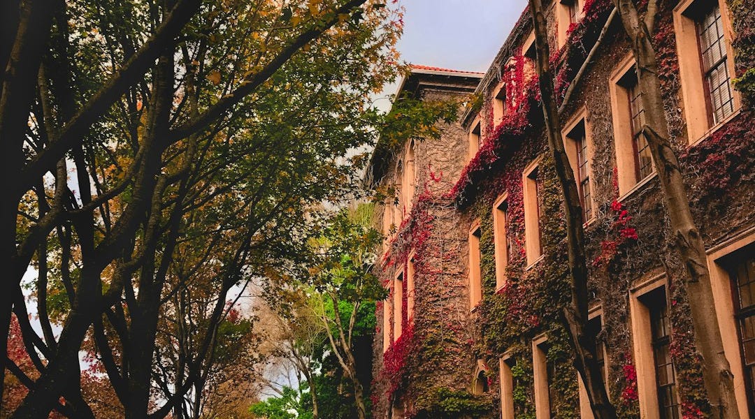 Over 180 UCT Alumni Call to Prioritise University’s Financial Future