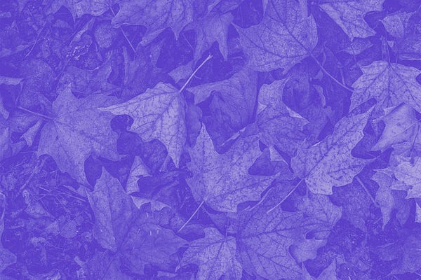 unfortunately i love you