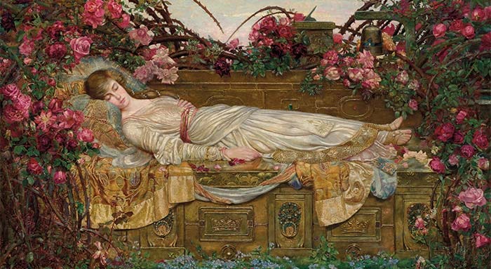 The Sleeping Beauty problem - SDG’s Dailies & Sundays