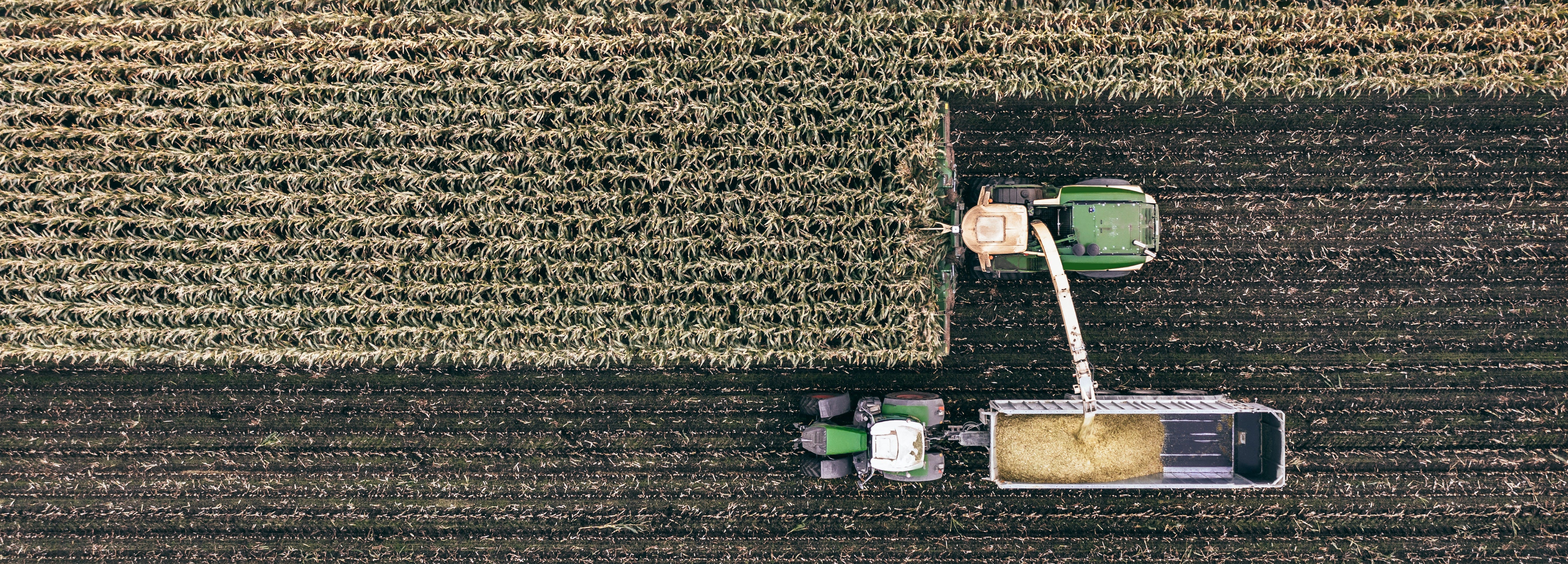 The Role Food Plays in Exceeding the Climate Change Planetary Boundary