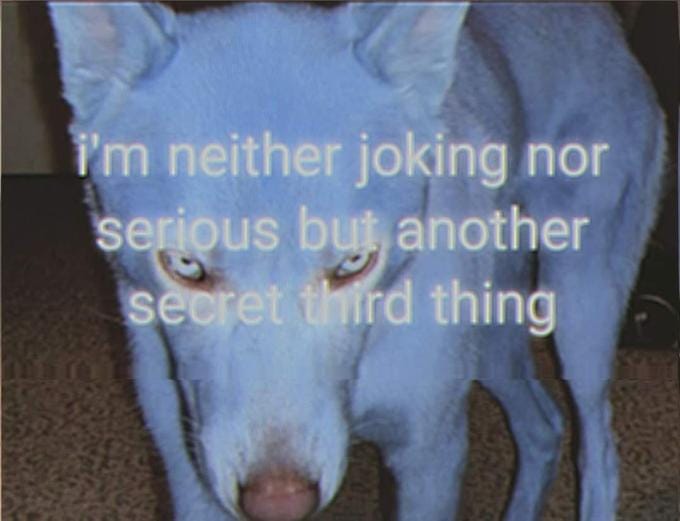 The Secret Third Thing - by Anya Kamenetz