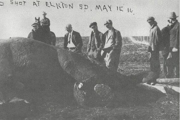 The Dakota Scout | Substack