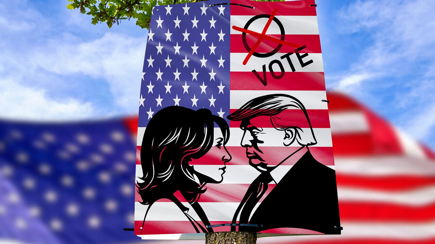 Did the NSA audit the 2024 election? Did she win?