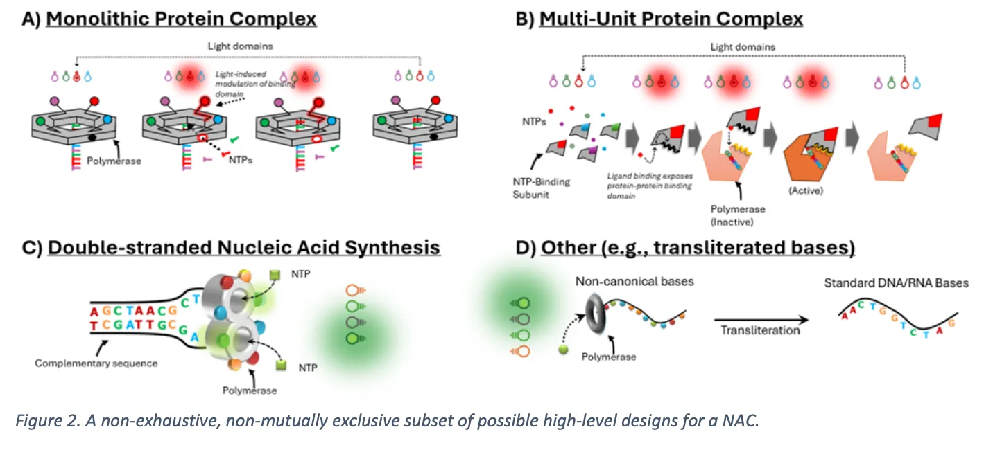 DARPA Plans to Write New DNA and RNA Inside Living Cells Using Light ...