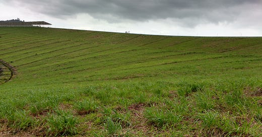 The Seventh Horse | siru kadhai | Substack