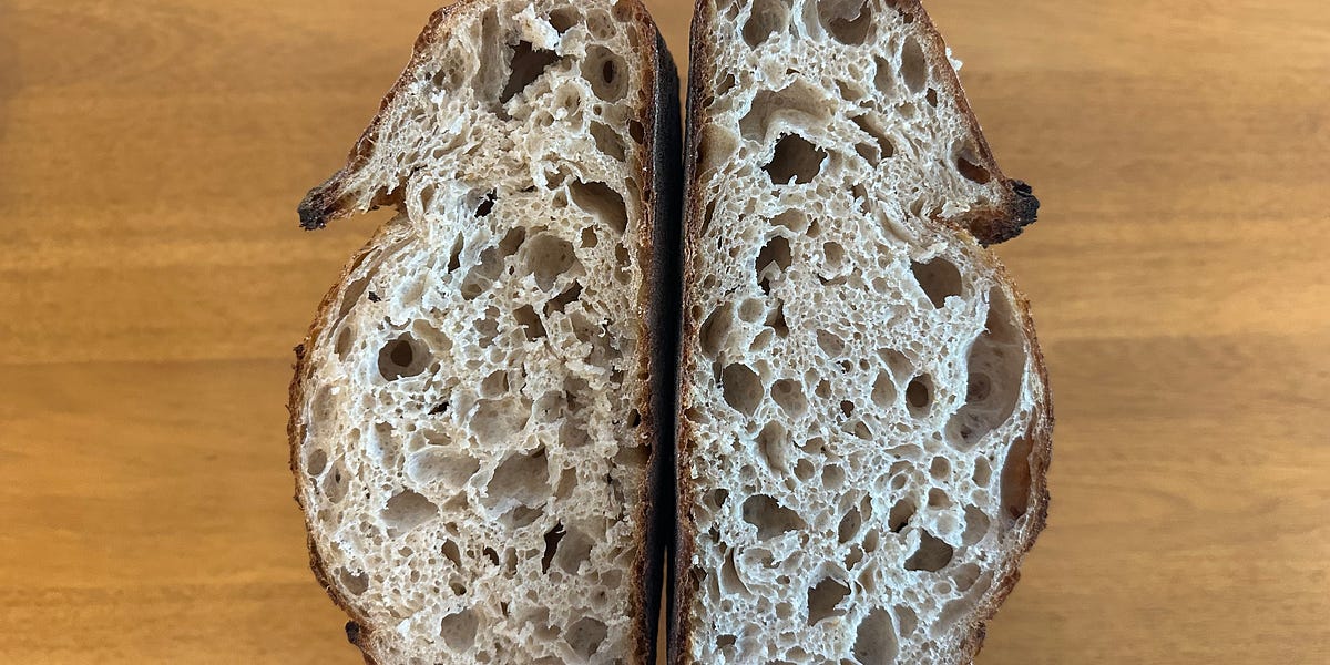 Commercial Yeast vs. Sourdough Starter: The Science Behind Better Bread