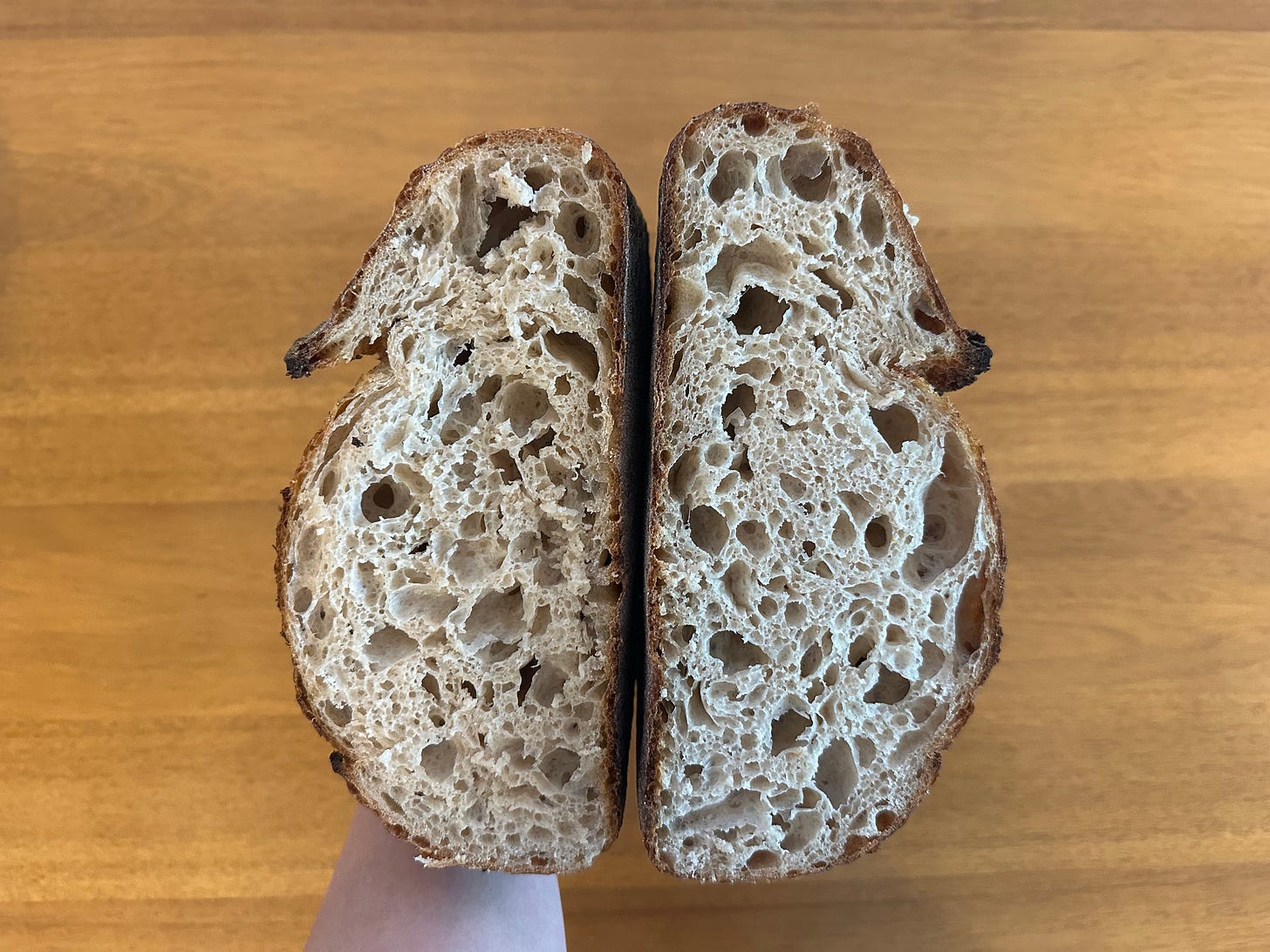 Commercial Yeast vs. Sourdough Starter: The Science Behind Better Bread