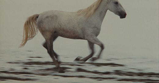 Philip Traylen | Substack