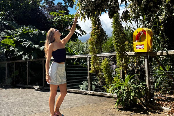 On The Go Mushrooms | Rory | Substack