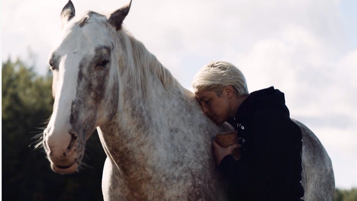 A deeper space for horse people - NOËLLE FLOYD