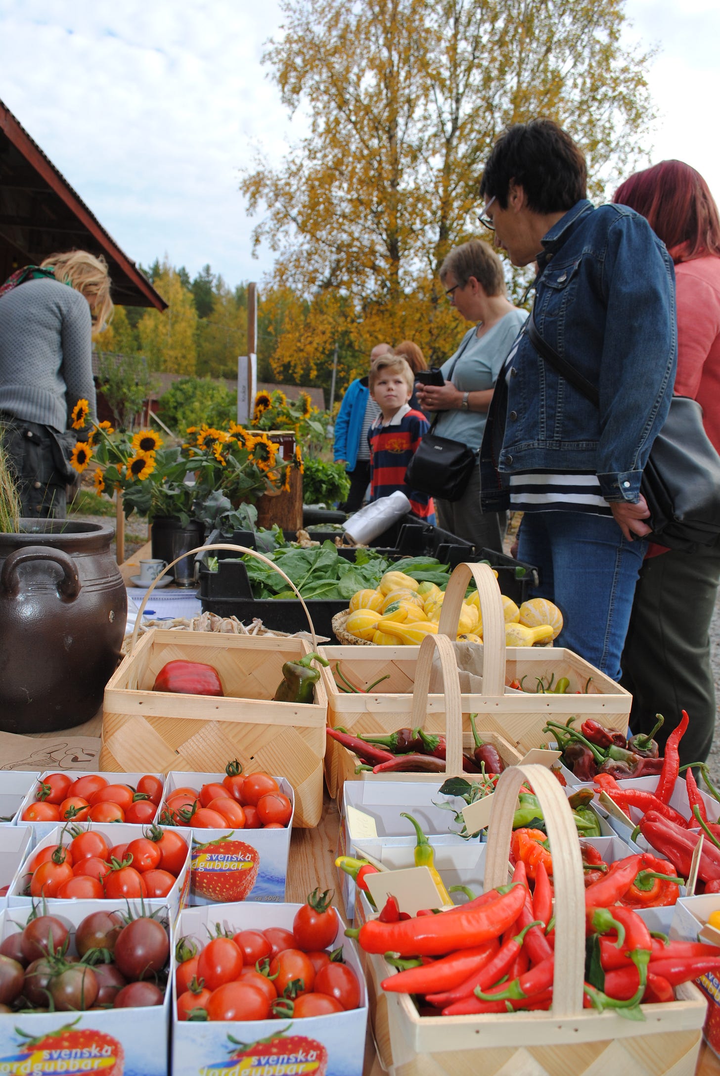 Only one nation is self-sufficient in healthy food - resilience