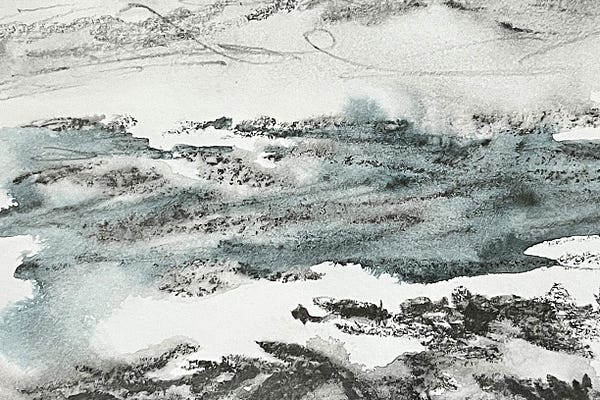 FLOW : Letters from the moss | Michela Griffith | Substack