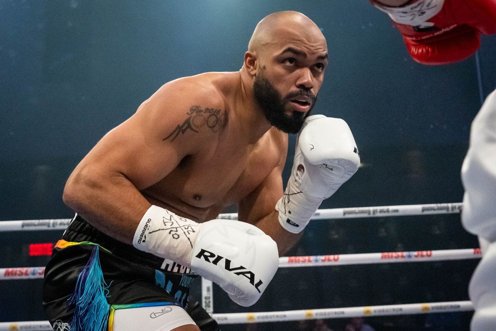 Lara Boxer Ethnicity