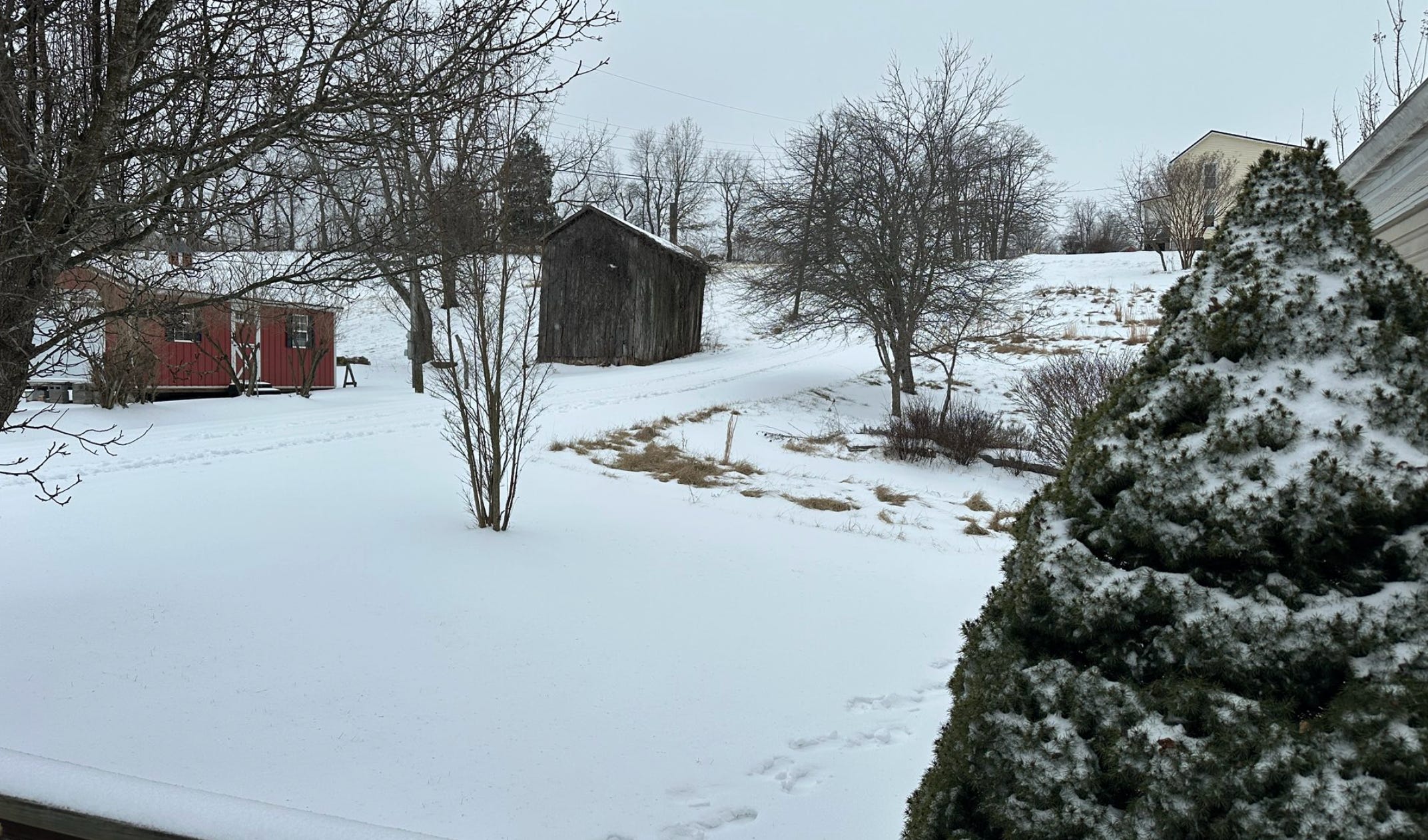 10 Virginia ︎ Snow Photos - BLACK VIRGINIA NEWS