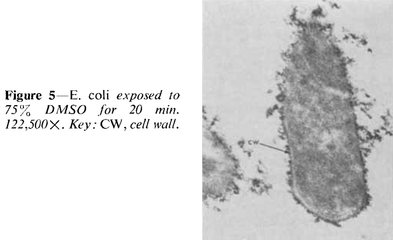 DMSO Transforms The Treatment of Infectious Diseases