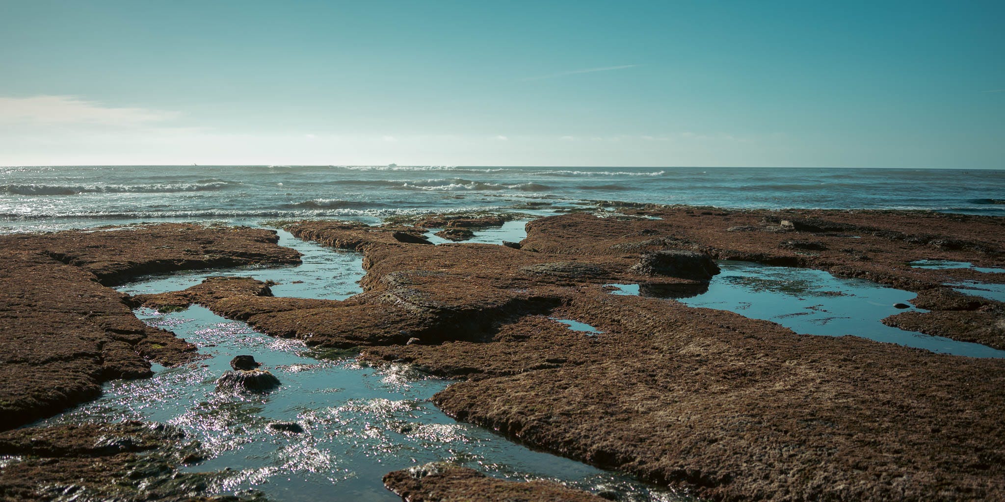 Why does the ocean smell like ocean? - by Kevin Okun