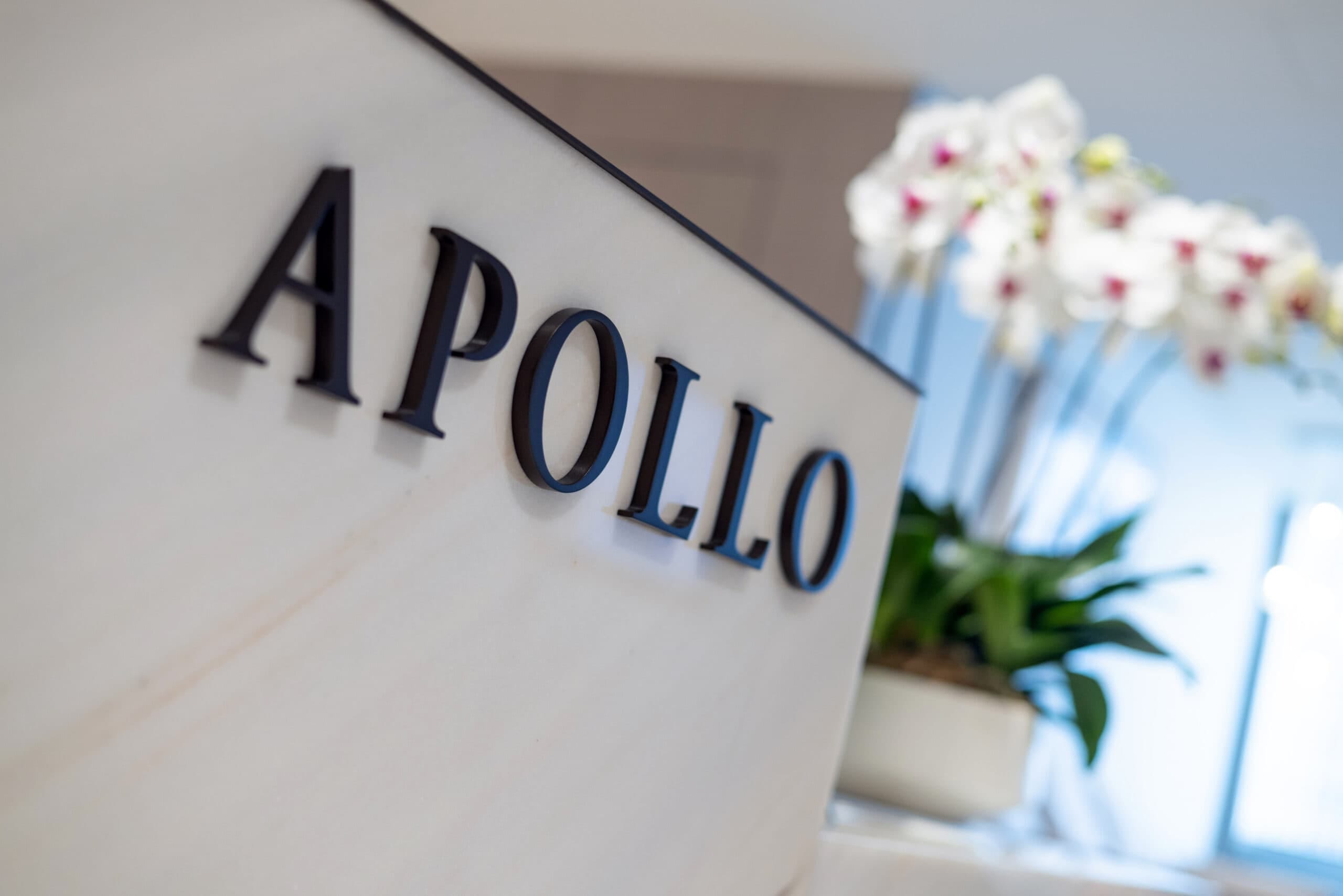 Apollo secures $1bn private credit facility to finance PowerGrid ...