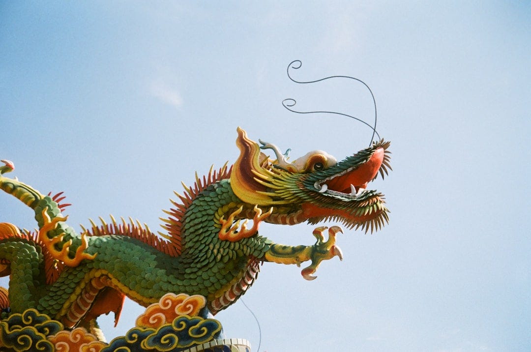 Swooping in with a discount on January's Dragon courses!