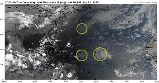 Michael Lowry | Substack