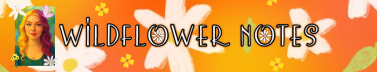 Wildflower Notes | Susannah Writes | Substack