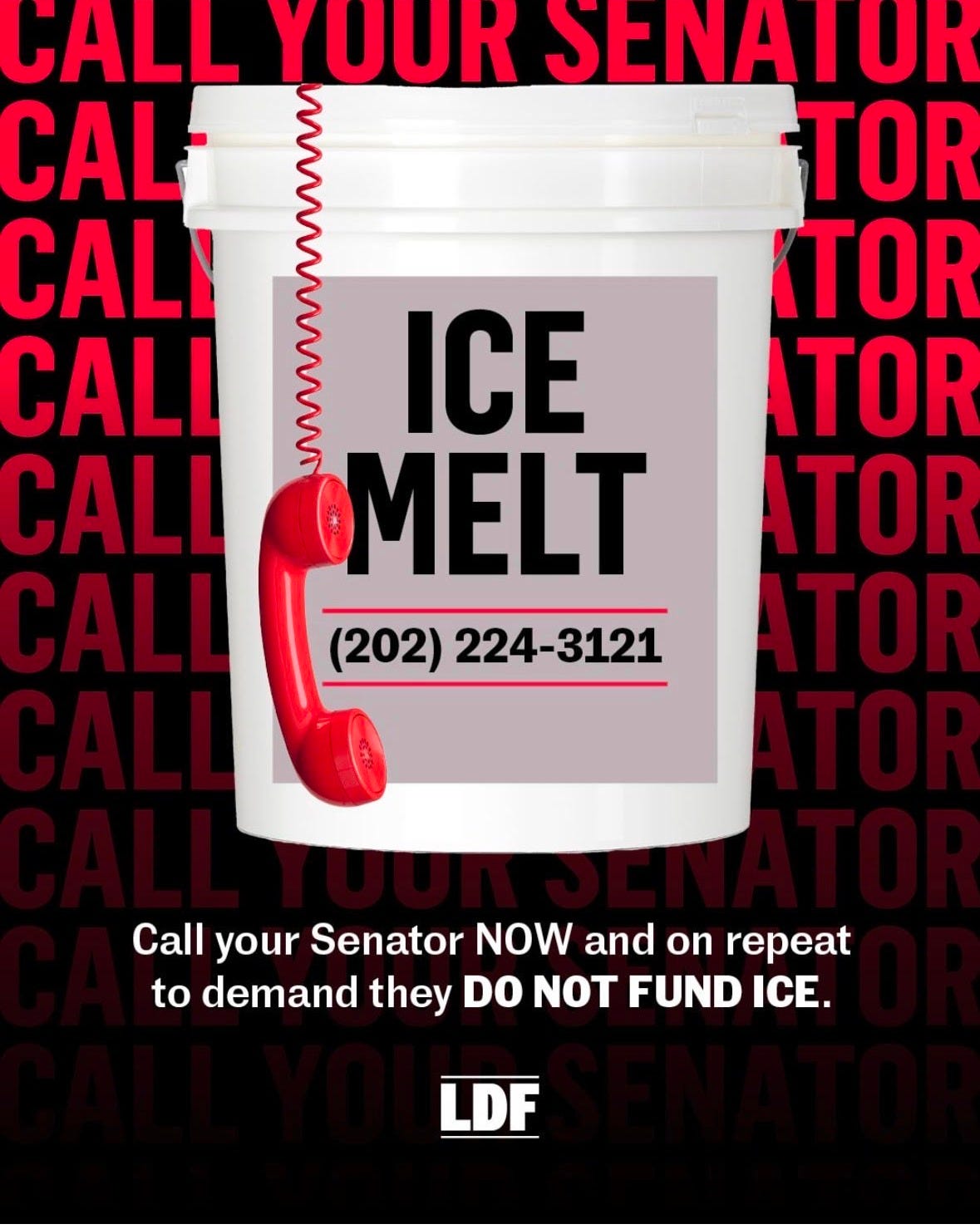 Speaking Out on DHS, ICE, & Federal Law Enforcement Violence