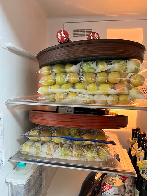 Let’s Talk About Umeboshi（うめぼし） - by Toukyo