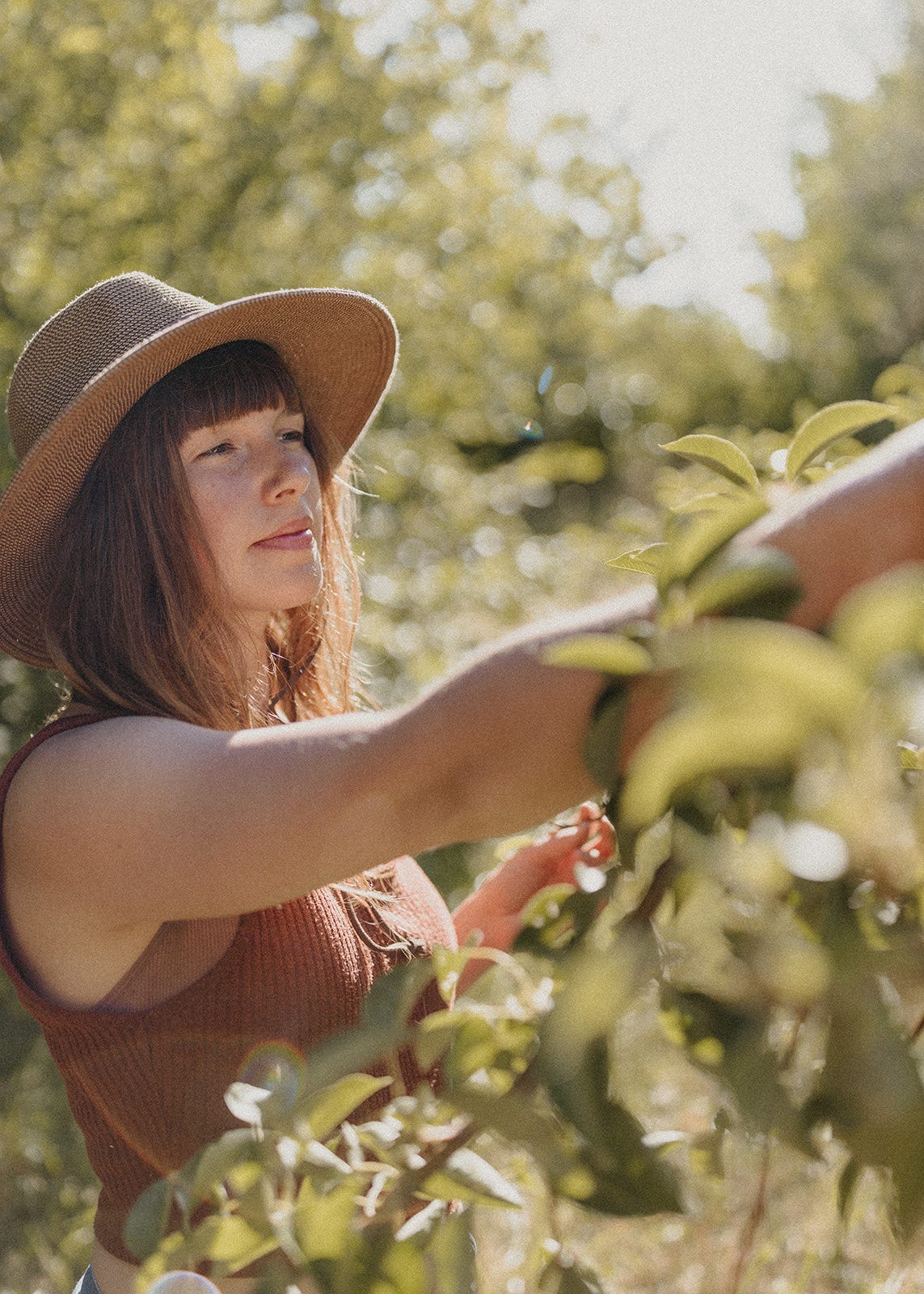 Hannah King | Substack