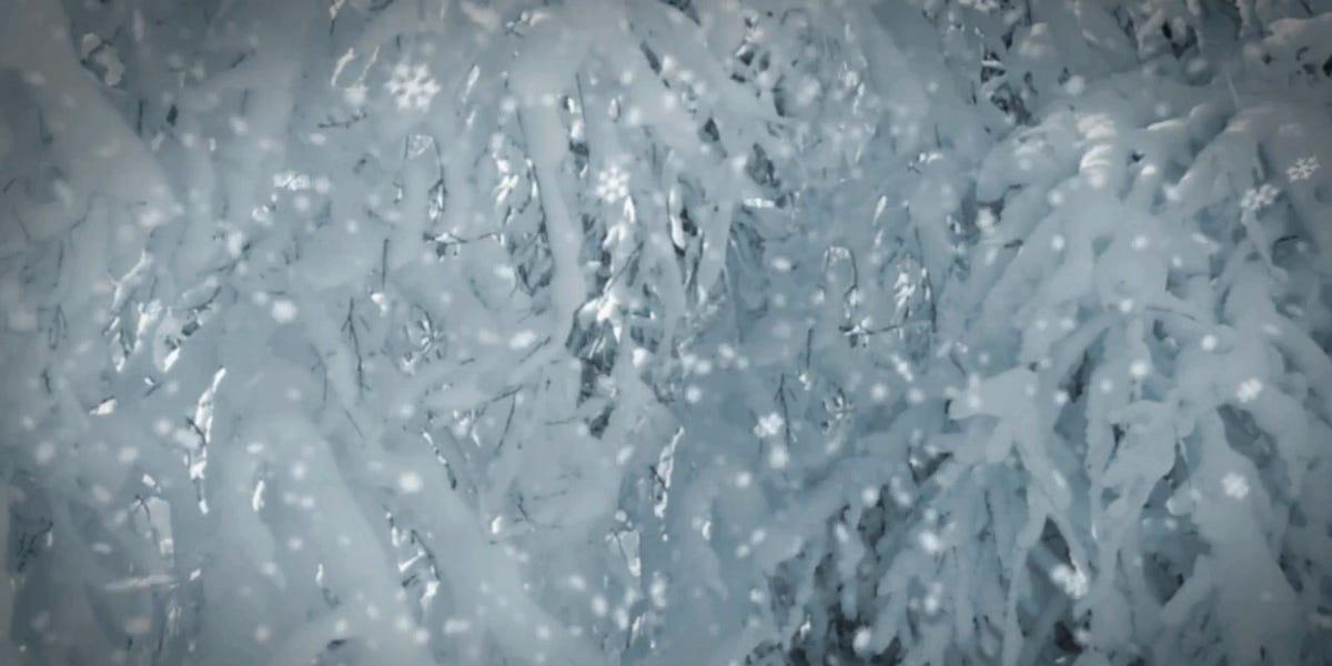 DAY 62 DAILY BIBLE READING - by Mrs. Ashe