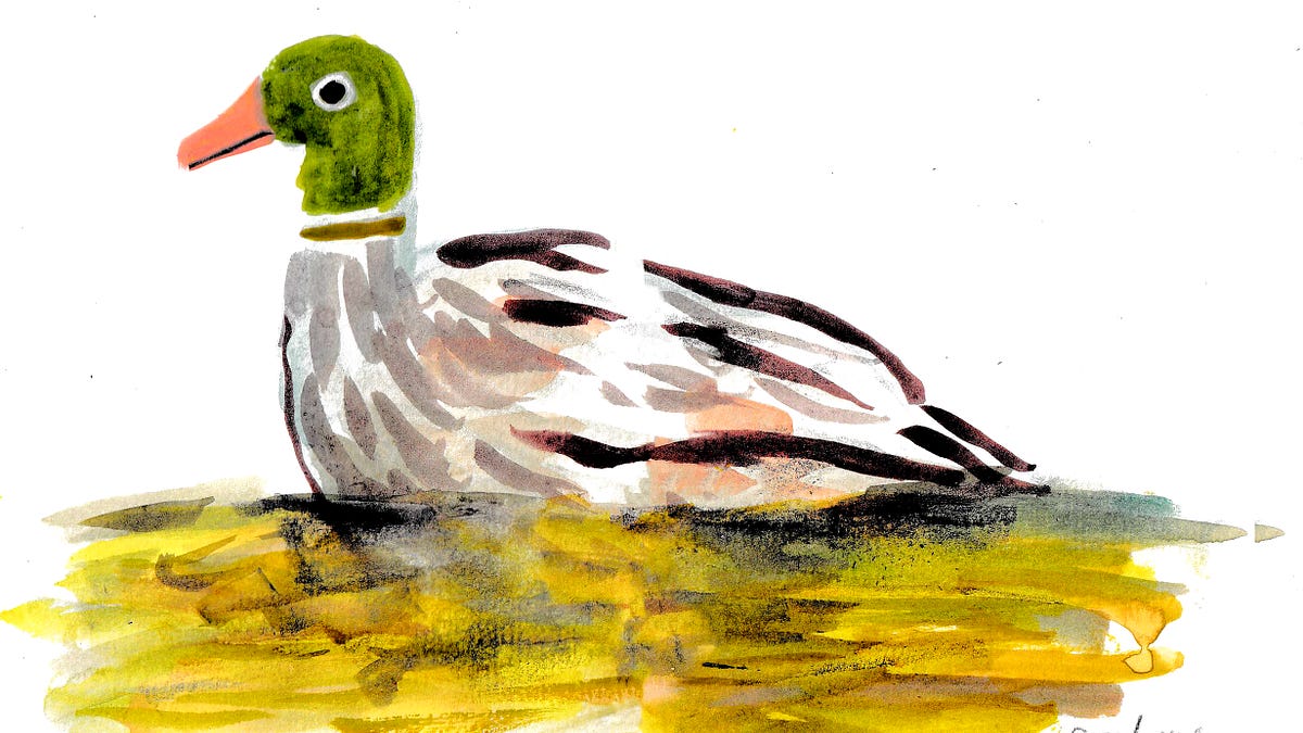 Drawing sessions to try this week - Introvert Drawing Club