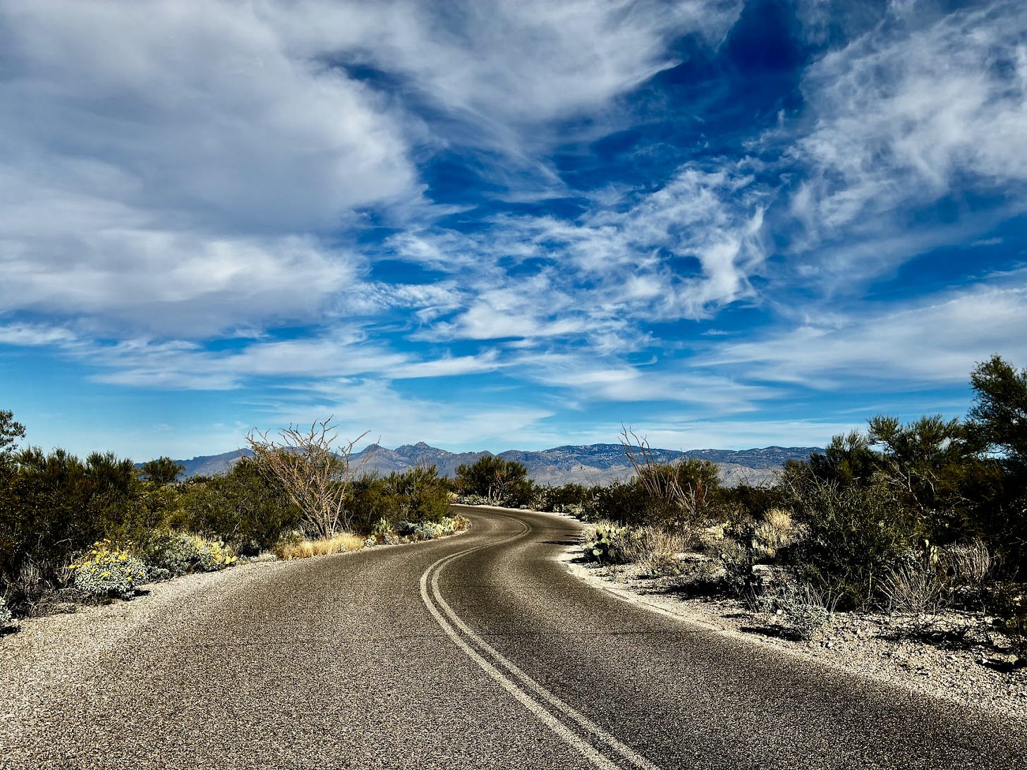 The Cactus Trail - by Michelle Merlis - Michelle’s Substack