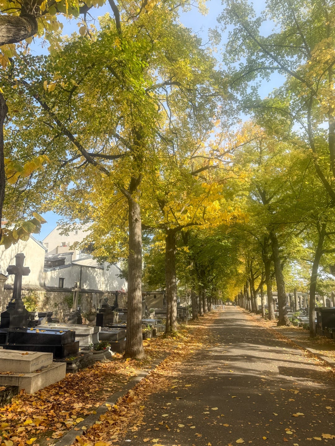 The October 2025 Edit - by Meghan Grant