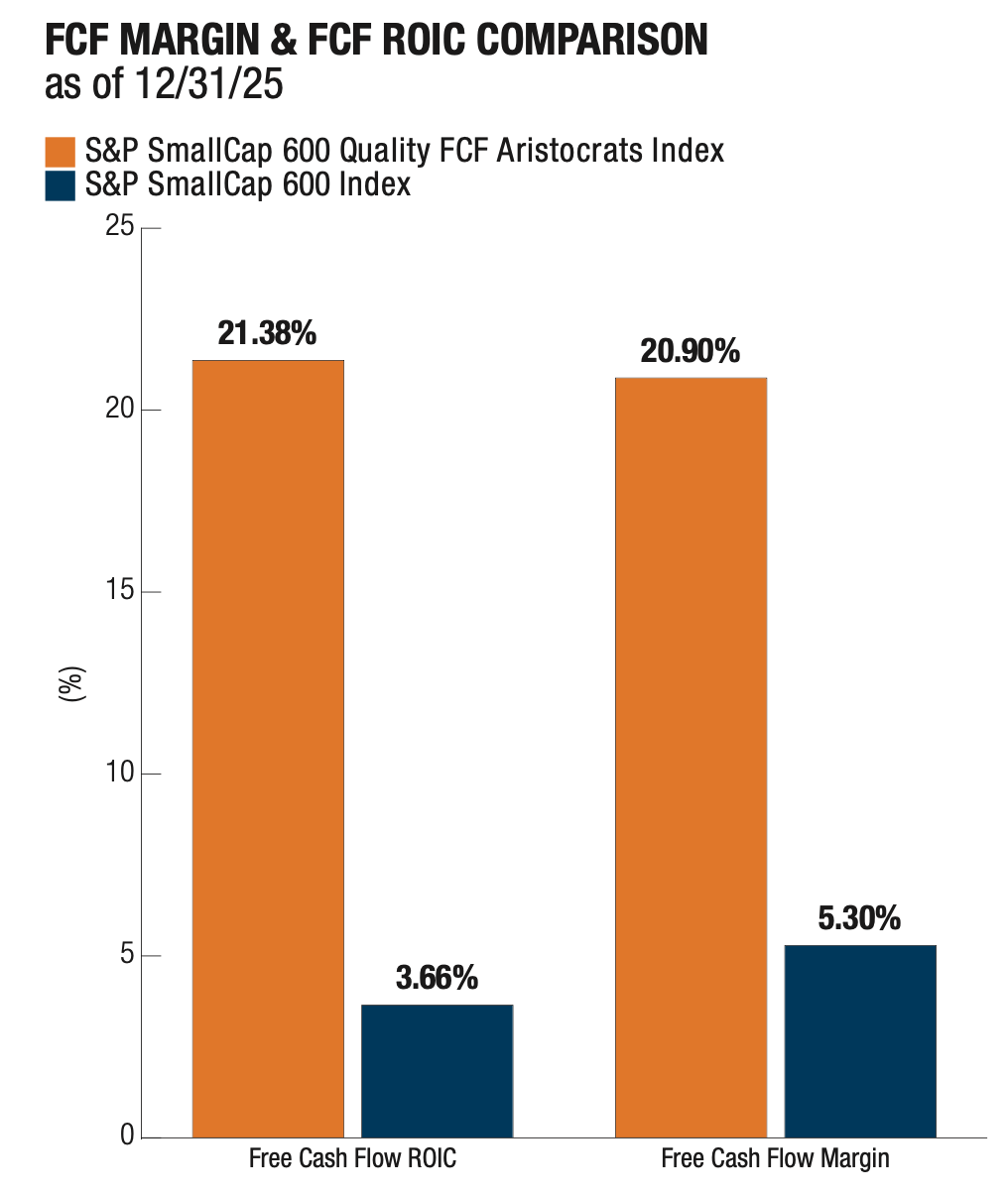 ETF Portfolio Update: February 2026