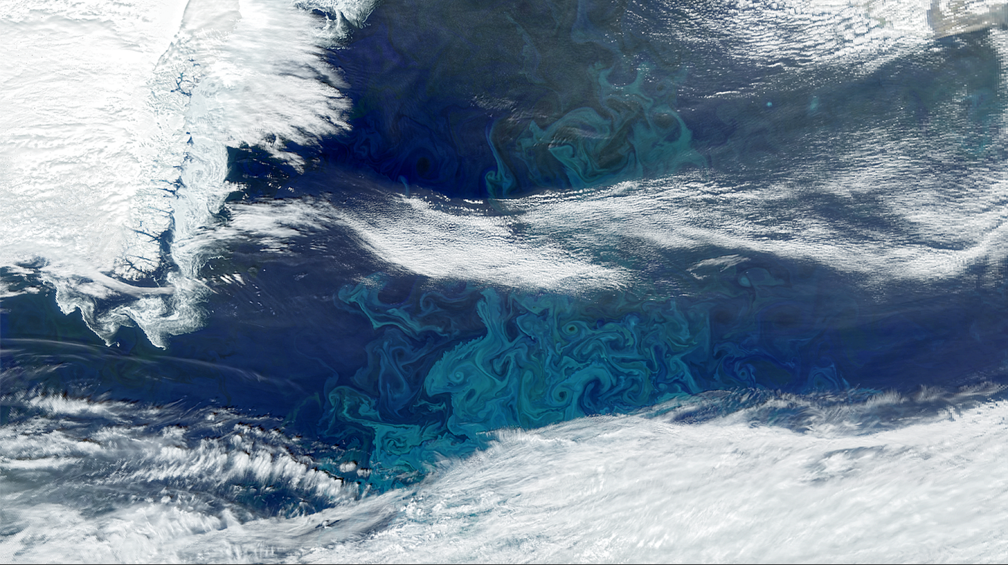 Colors of the Ocean