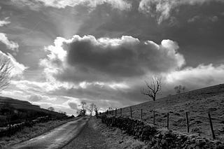 David Whyte | Substack
