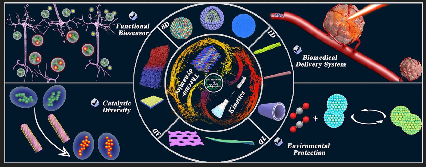 Darkfield Microscopy Shows Self Assembly Of Microfilament In C19 ...