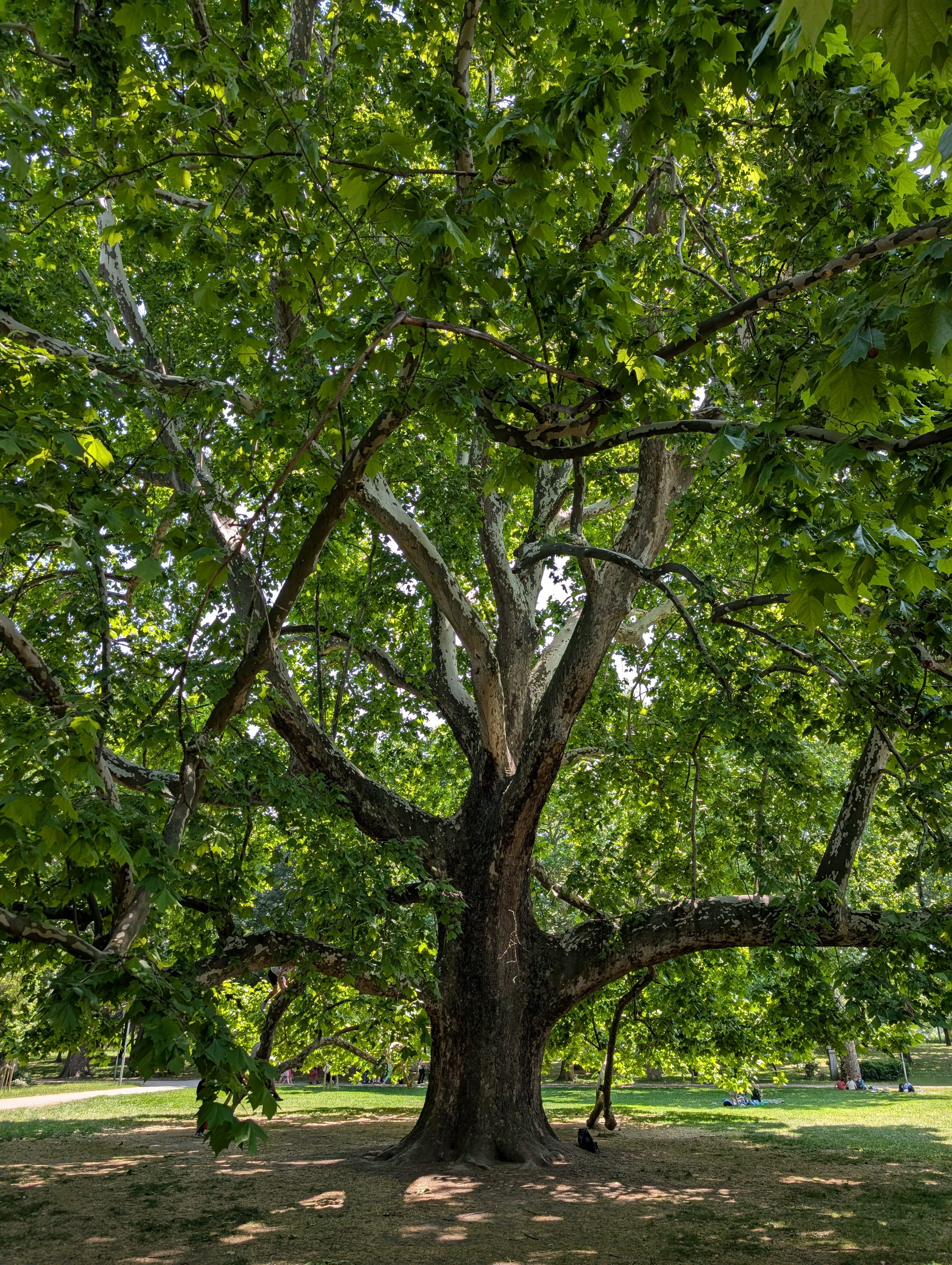 Margaret Island, Budapest Zoo & Thermal Baths | Hungary