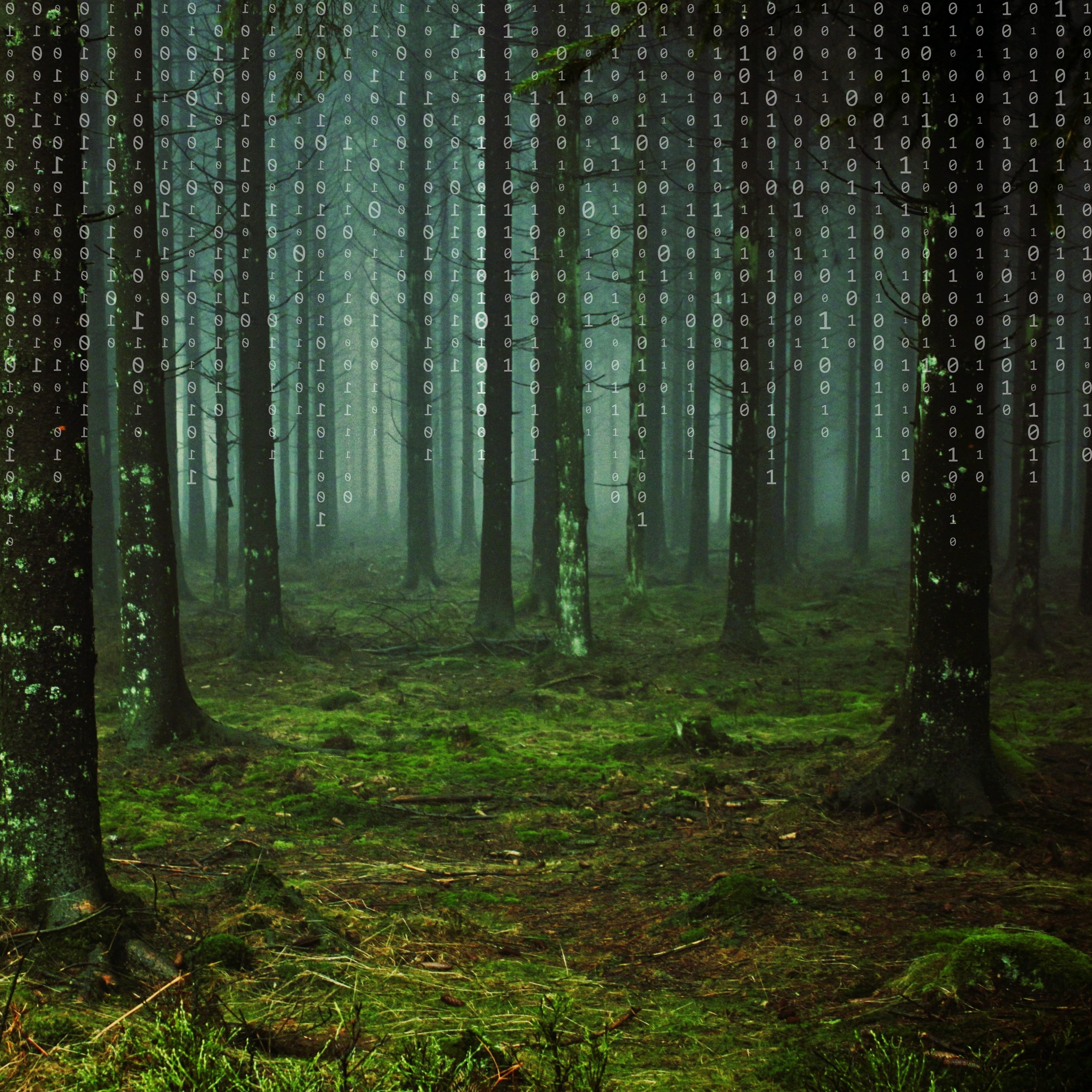 The Day Nature Became a Security - by MAATTR