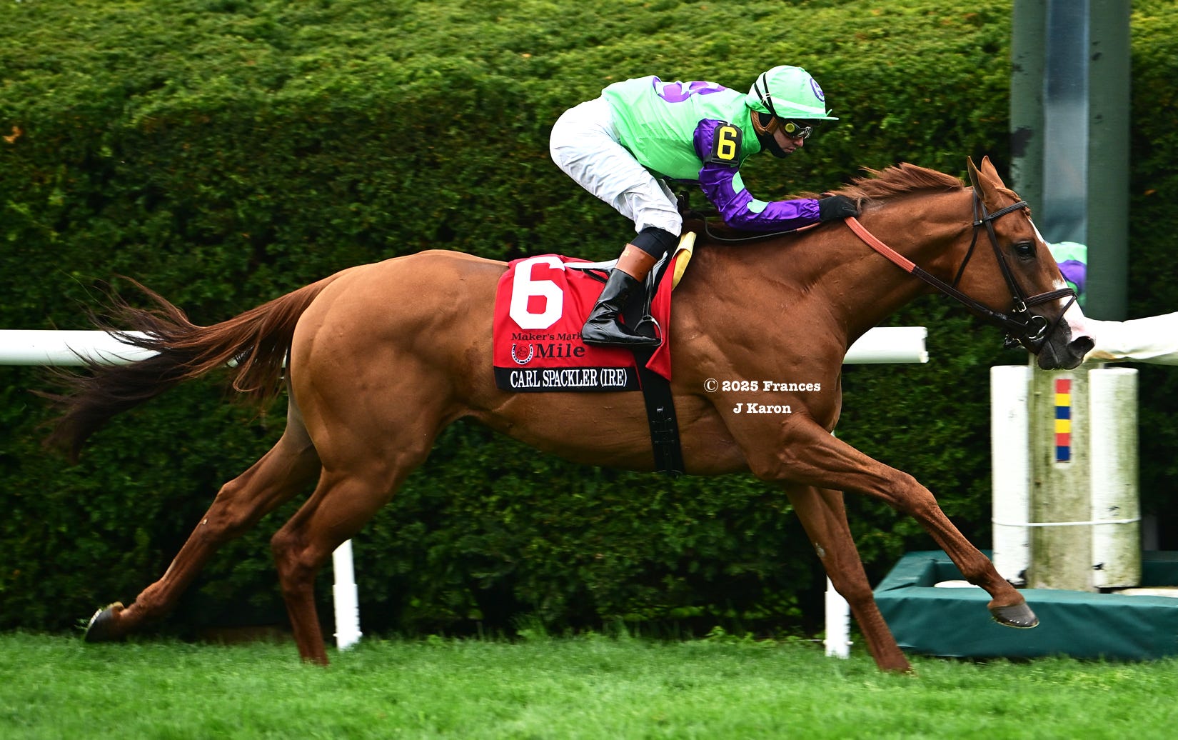 Carl Spackler represents flourishing Lope de Vega line in Kentucky