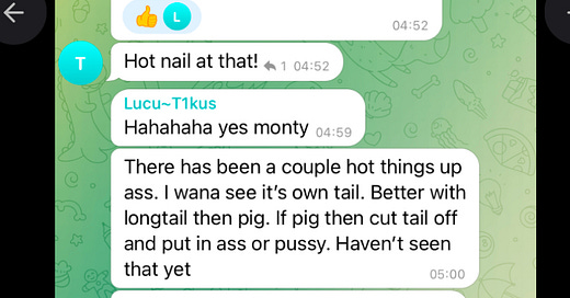 Fushigi Observer | Substack