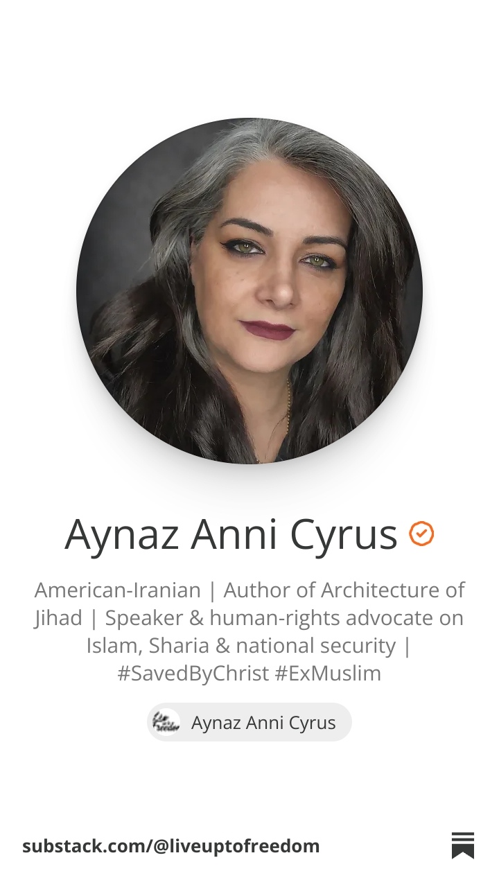 Aynaz Anni Cyrus | Substack