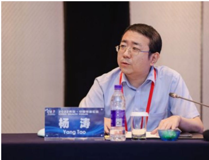 Yang Tao: China should develop a yuan-backed stablecoin ASAP