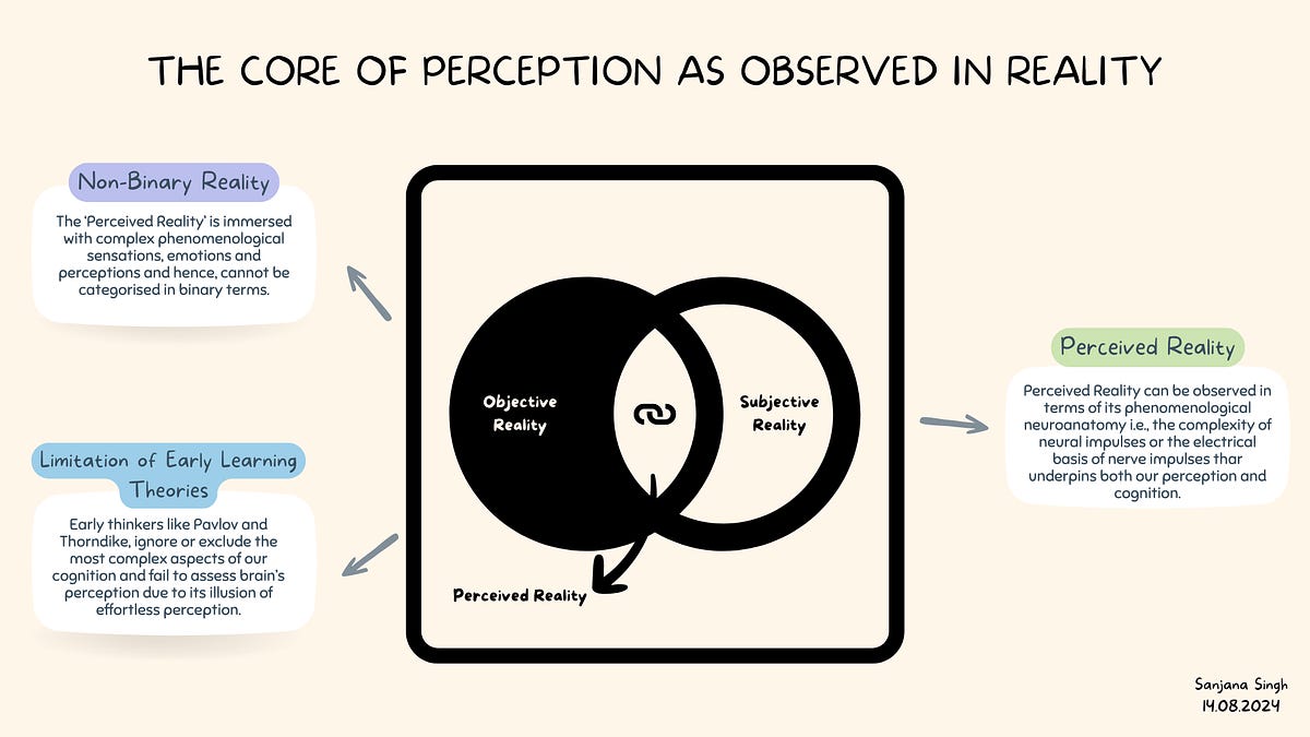 perception is reality origin