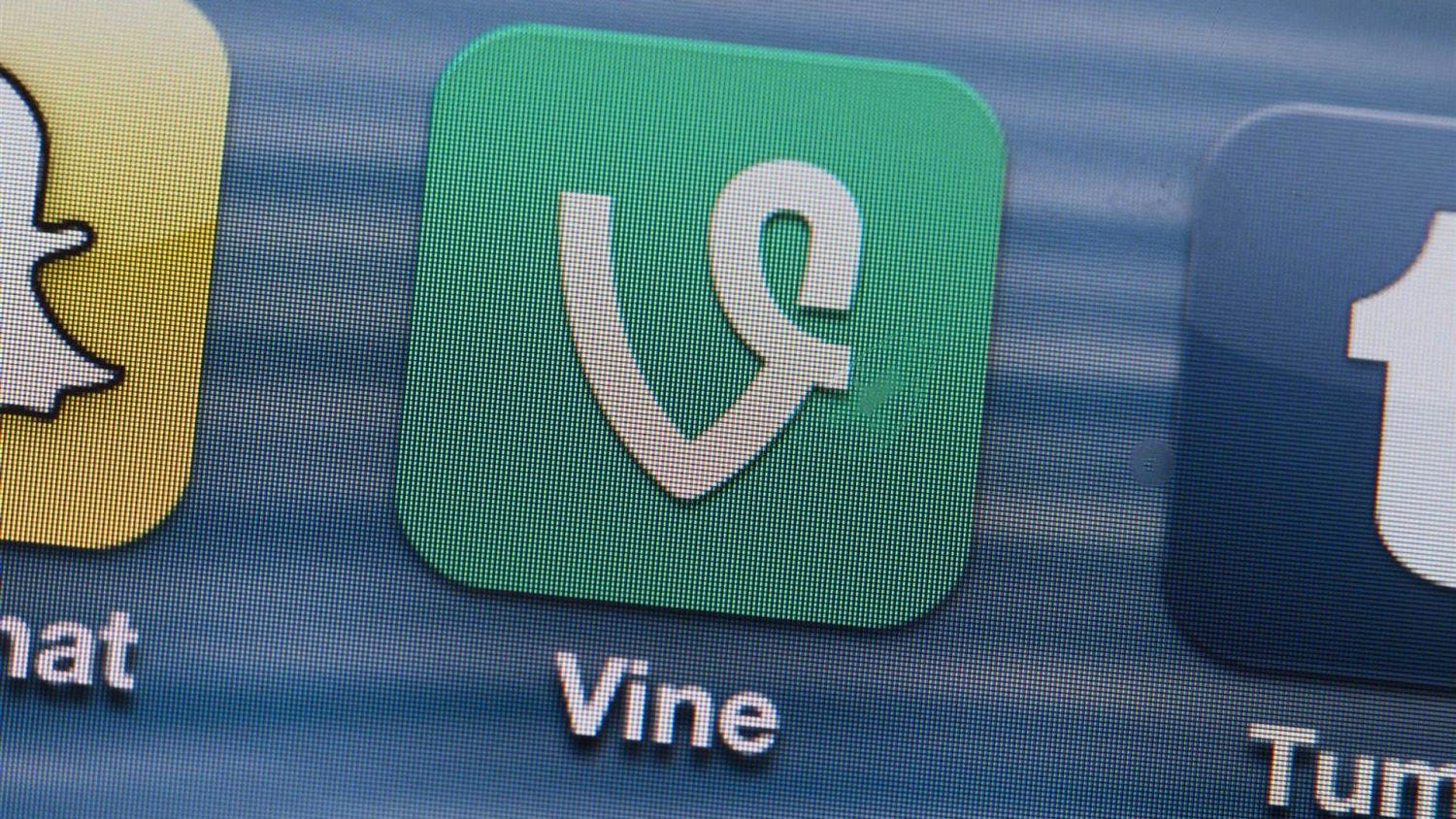 Você lembra do Vine? - Memória Analógica