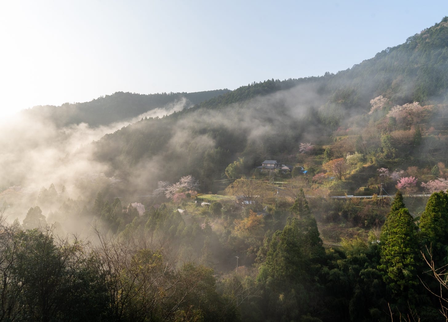Chosen Places: Kamikatsu Village, Japan - by Kana Chan