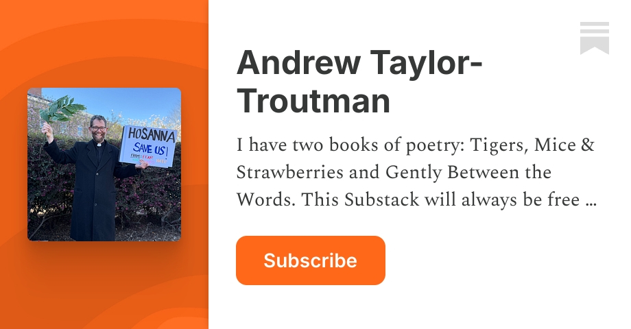 Andrew Taylor-Troutman | Substack