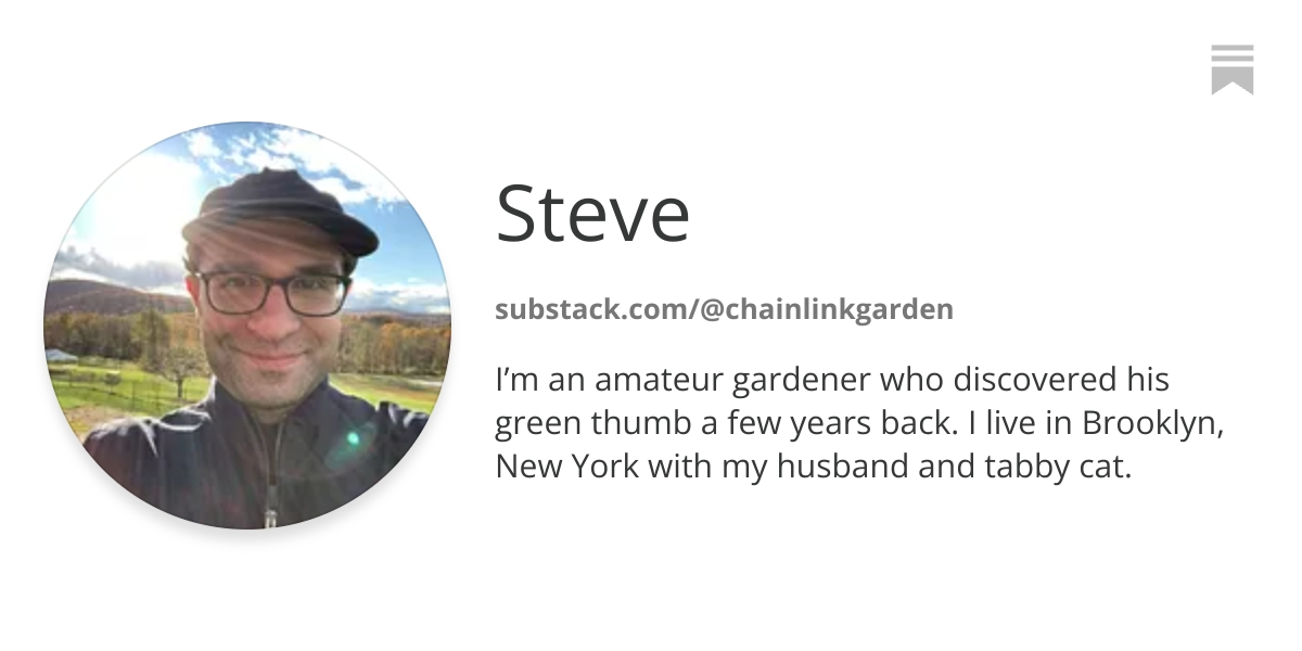 Steve | Substack