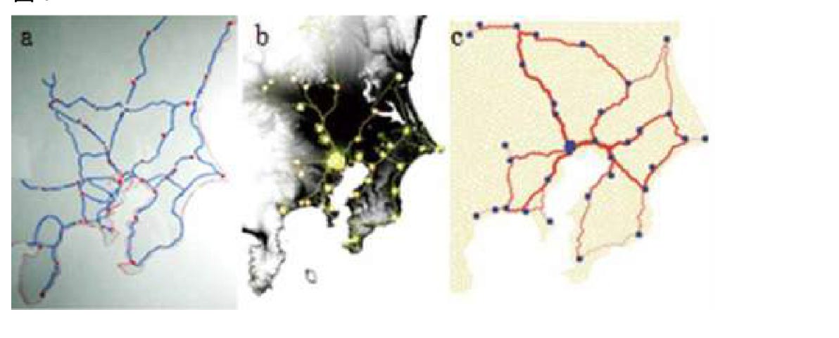 Brainless Genius: Slime Molds and the Tokyo Railway System
