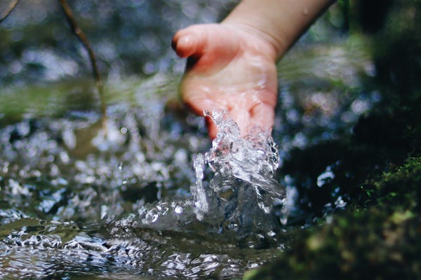 At the Iowa Farm Table Podcast | Beth Hoffman | Substack